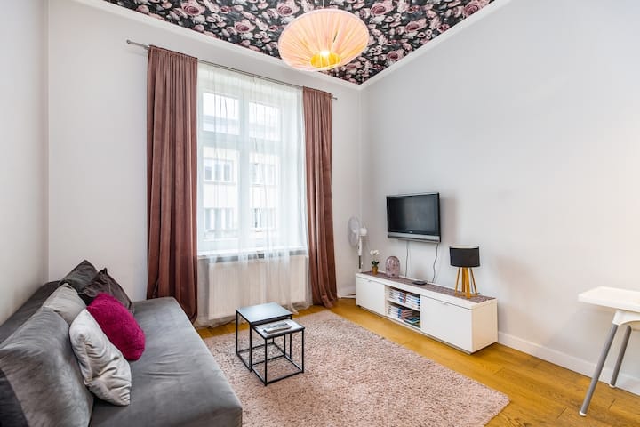 French Chic Apartment - Krakova