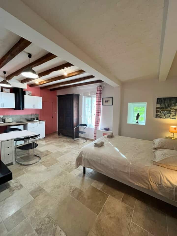Le Rosé De Loire - Studio - Parking - Amboise