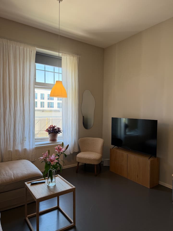 Studioleilighet I Kristiansand Sentrum - Kristiansand