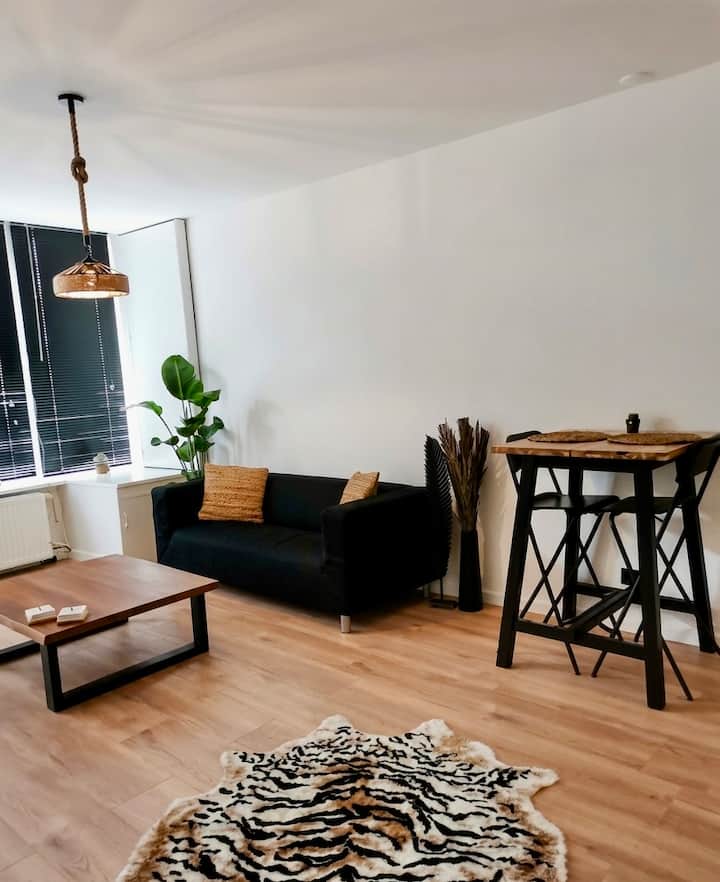 Stijlvol Stadsappartement In Hartje Eindhoven - Eindhoven