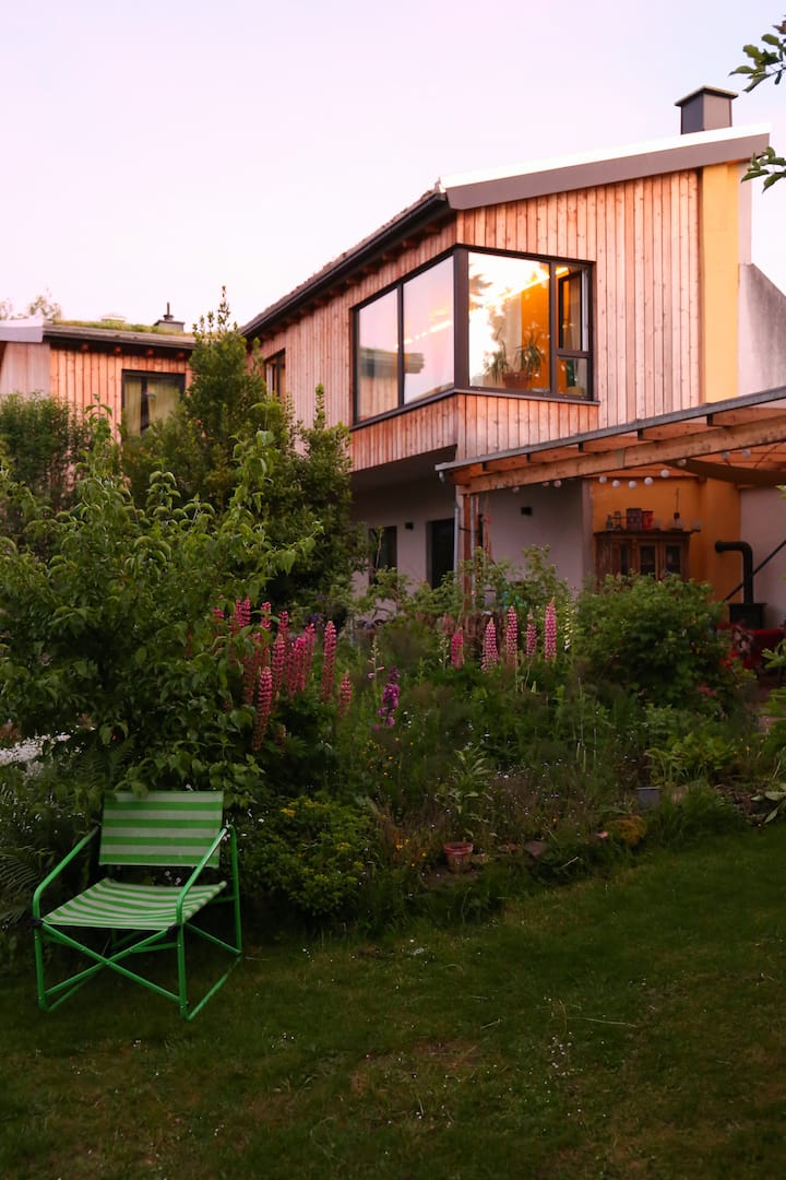 Nachhaltiges Designhaus Mit Gründach Und Garten - Bochum