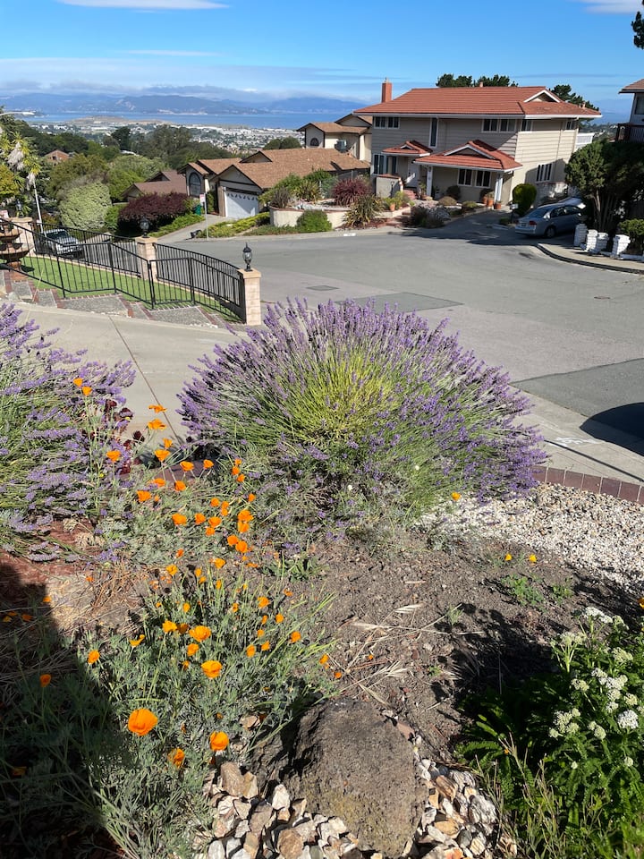 Hilltop Haven | 3br 3ba Bay Views - Kensington, CA