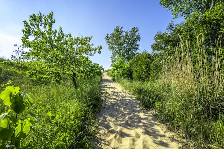The Lake Hills Hideaway Newly Remodeled Beach Retr - New Buffalo, MI