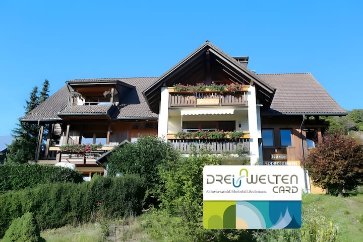 Ferienwohnung Fichte - Menzenschwand
