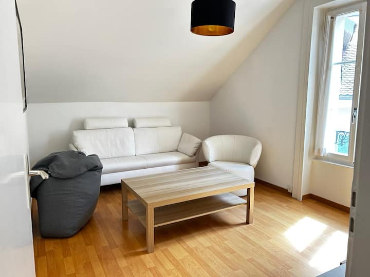 Appartement Centre Lausanne Petit Budget - Lausanne