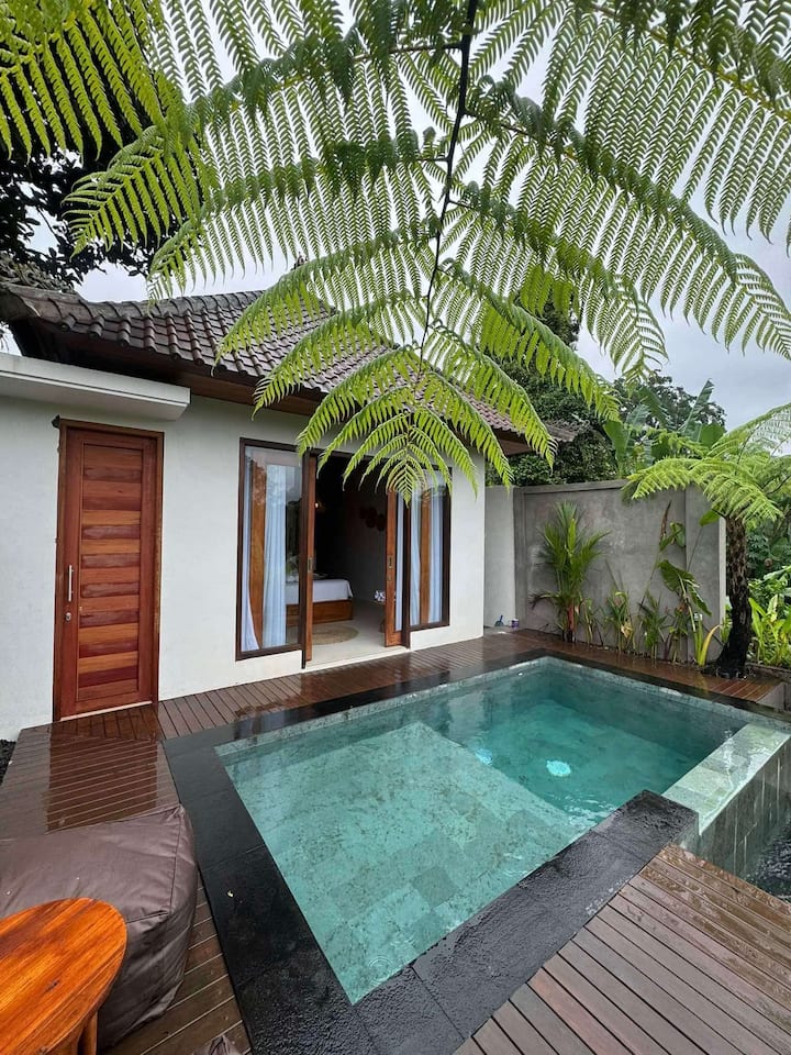 Endag Villa ,Satu Kamar Tidur Dengan Kolam Renang - Besakih