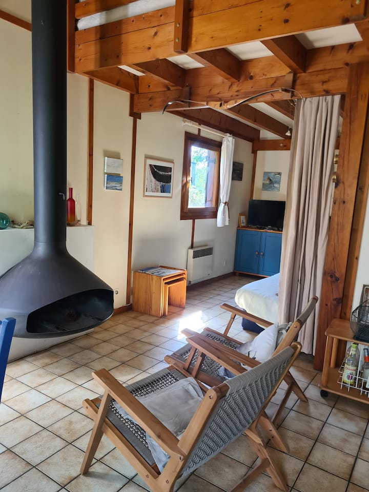 Chalet Avec Piscine Collective, Bassin De Baignade - Audenge