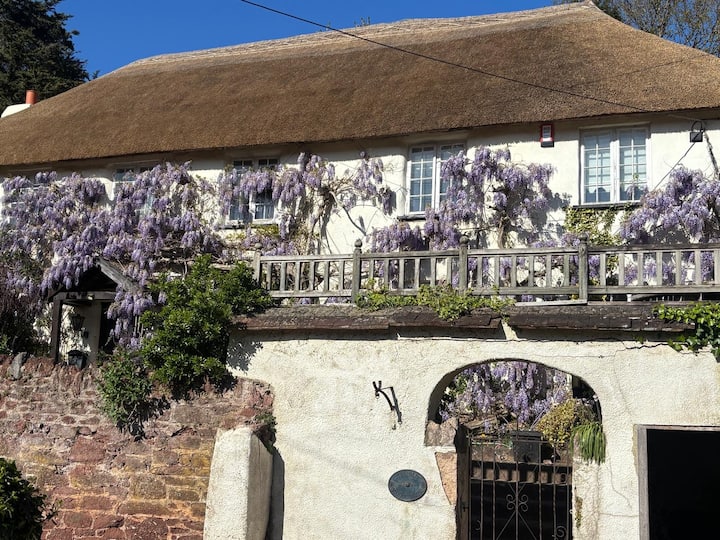 Lovely 17c Thatched Cottage Near Beaches & Moors - Devon