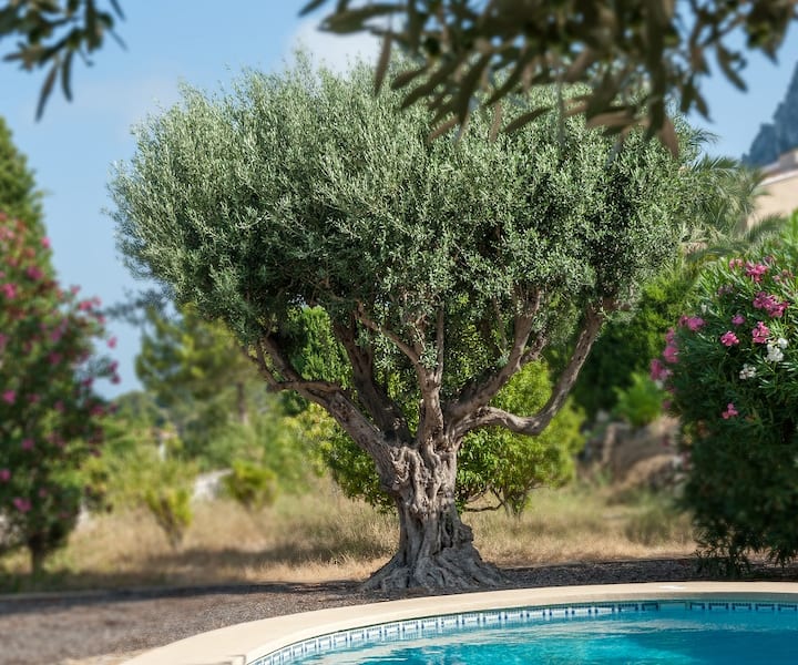 Standing Villa Day – Piscine En Provence Gardoise - Uzès