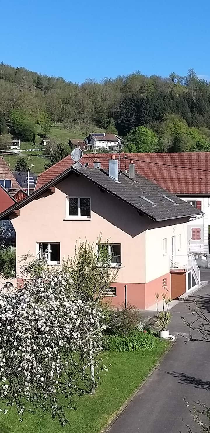 Appartement Du Bannwehr - Thann