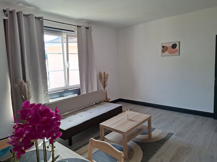 Appartement Familial 4 Personnes - Bartenheim