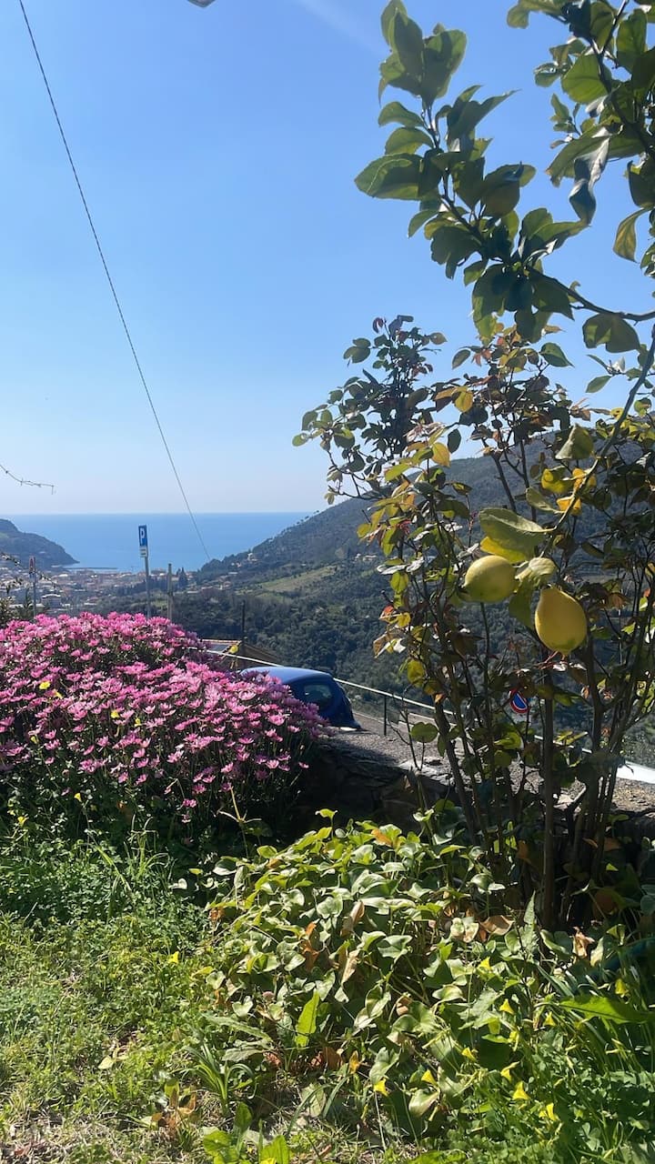 Lemons And The Sea - Levanto