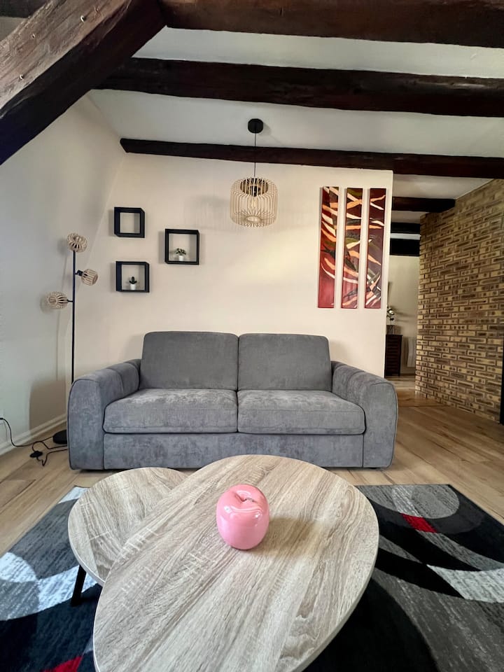 Appartement 2 Pièces Cocooning Au Cœur D'obernai - Obernai