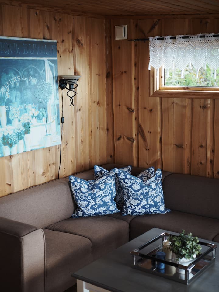 Hytteperle Ved Steinsfjorden | Egen Brygge - Sundvollen