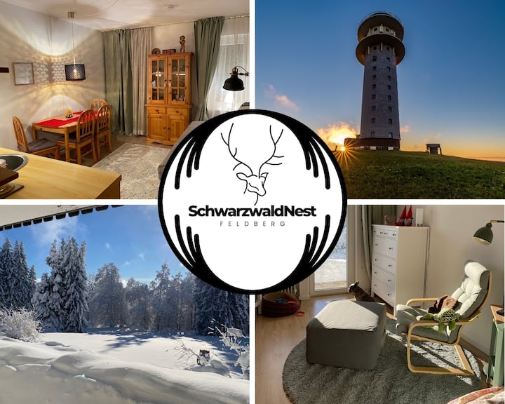 Schwarzwald Nest - Feldberg - Feldberg