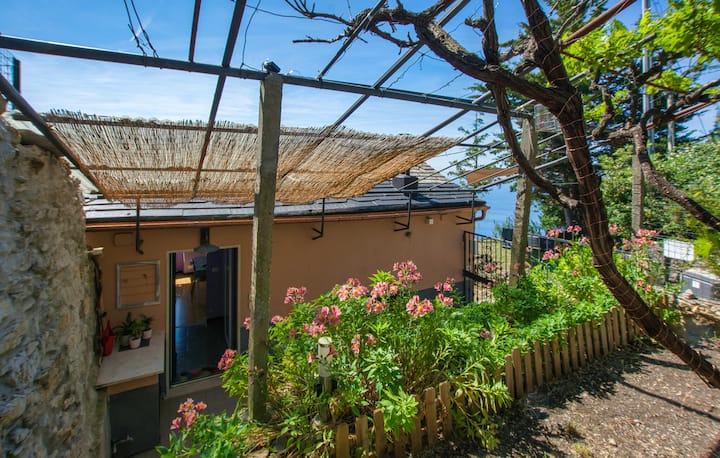 Cozy Home In Pieve Ligure With Wifi - Portofino