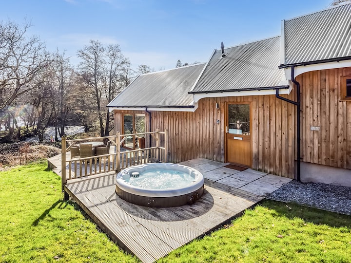 Yew Tree - Ukc9288 - Loch Tay