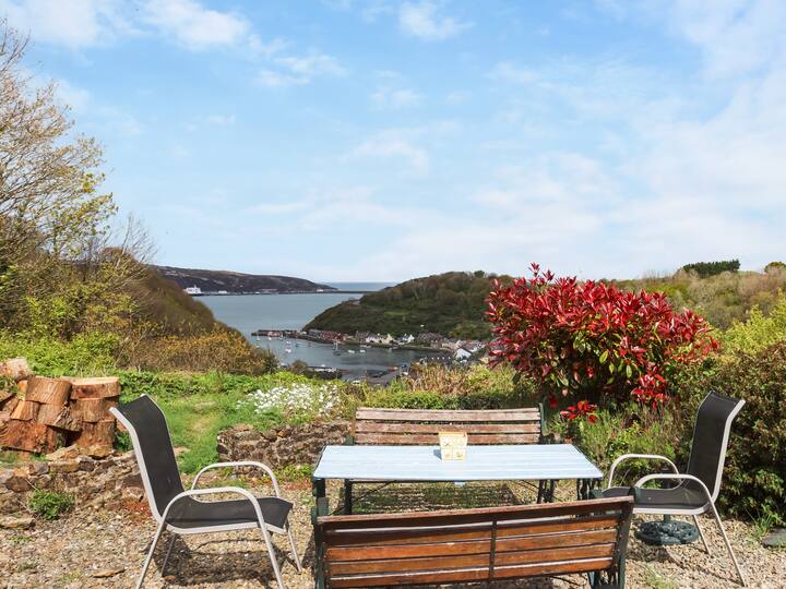 Blue Top - Fishguard