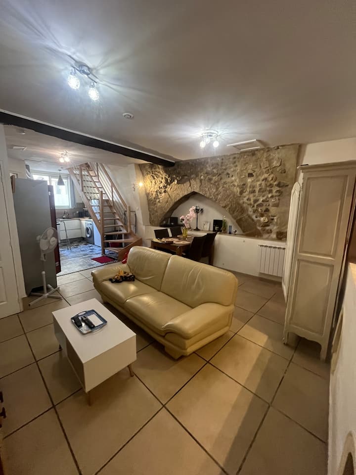 Logement Centre-ville Historique, Grands Buffets - Narbona