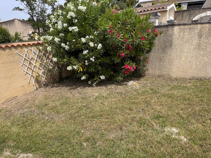 Gite Des Santolines - Cavaillon