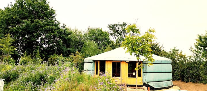 Luxueuse Mini-maison En Nature Près De Bruxelles - Meise