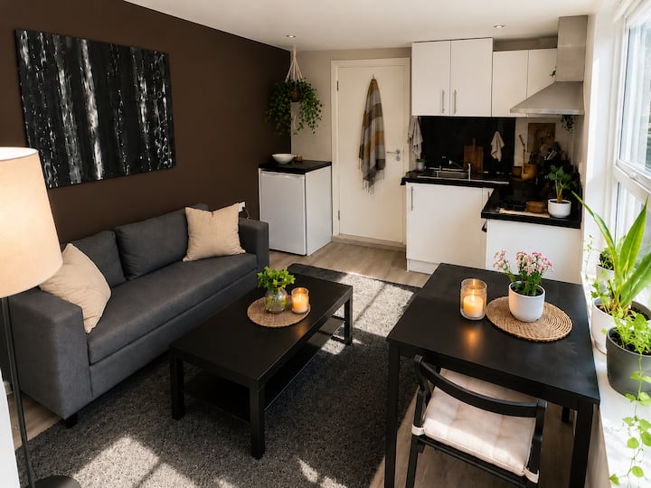 Quiet Dublin 8 Apartment • King Bed & Courtyard - Dublin