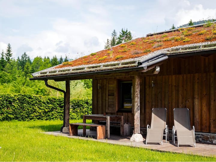Chalet Pour Des Vacances Bien-être Avec Chien - Nassfeld