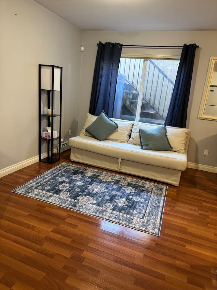 Ivy Suite - 1 Bedroom Private Entrance Basement - Surrey