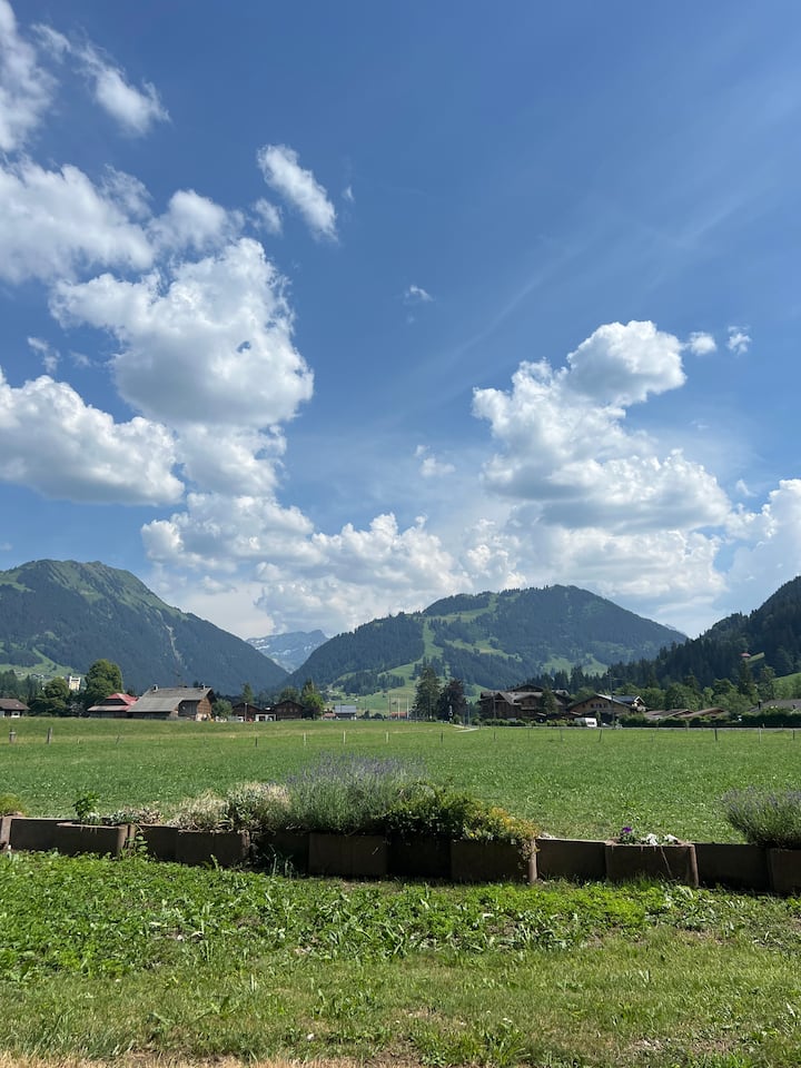 Bergblick - Gstaad