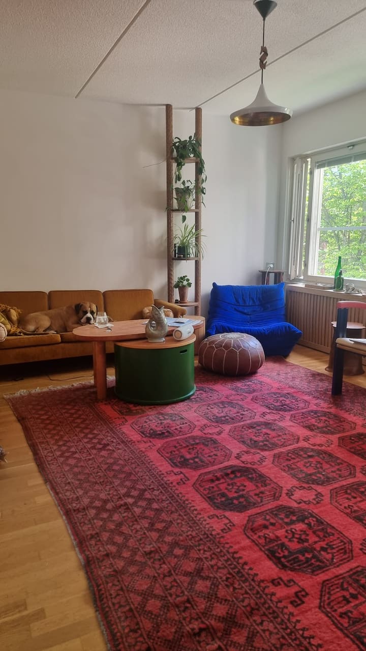 Cozy Apartment With Sauna By Central Park - Helsinki