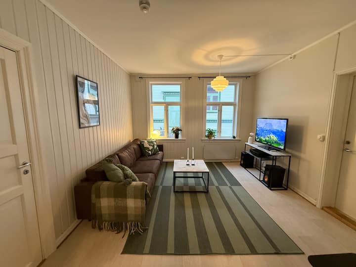 Koselig Leilighet På Møllenberg - Trondheim