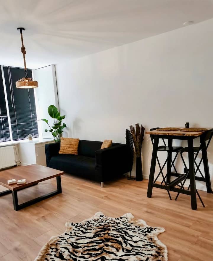 Stijlvol Stadsappartement In Hartje Eindhoven - Eindhoven