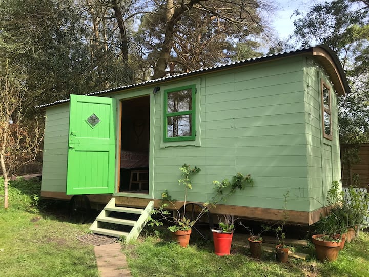 Nightjar Shepherds Hut - Crowborough
