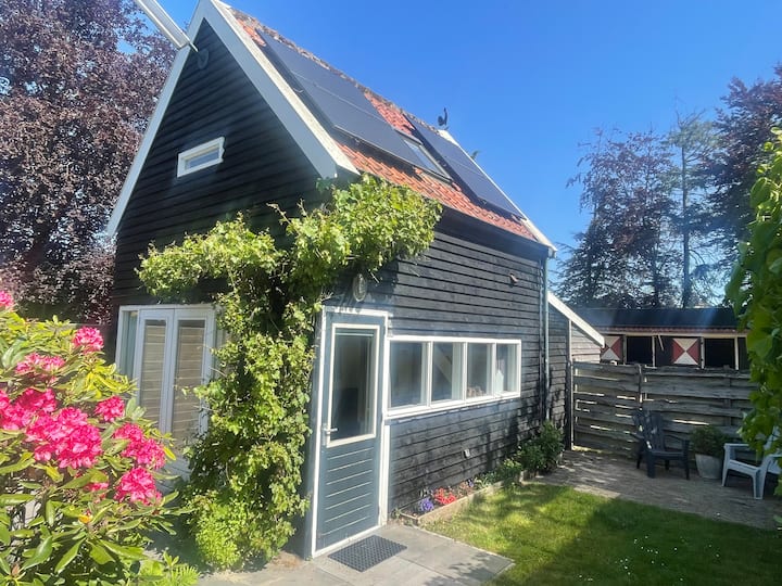 Schoorl Hooglander - Schoorl