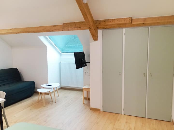 Studio Cosy Et Tout Confort - Salles-Curan