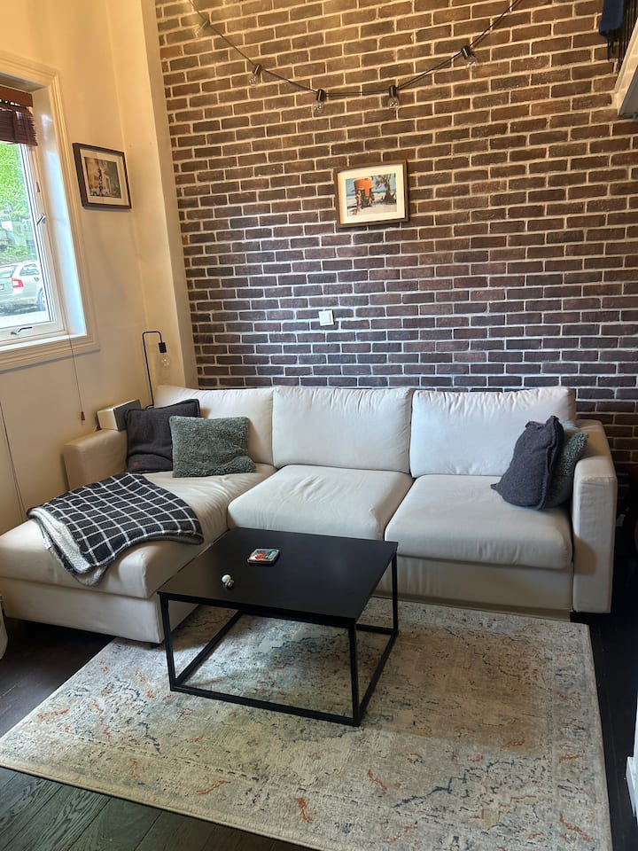 Fun Apartment With Gallery In Green Rosenhoff - Oslo
