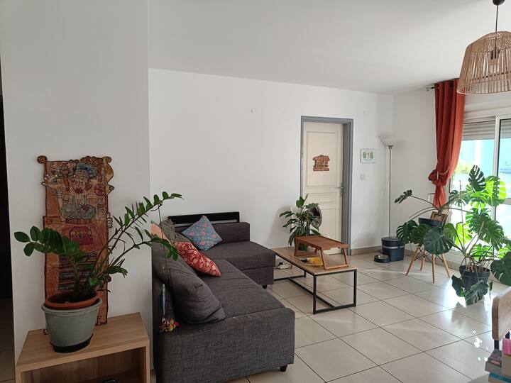 Appartement Spacieux Et Lumineux à St Denis - Saint-Denis