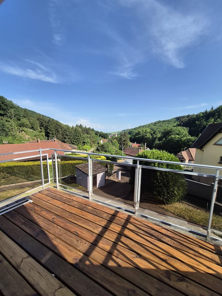 L'orée Du Vignoble:le Balcon Route Des Vins Alsace - Obernai