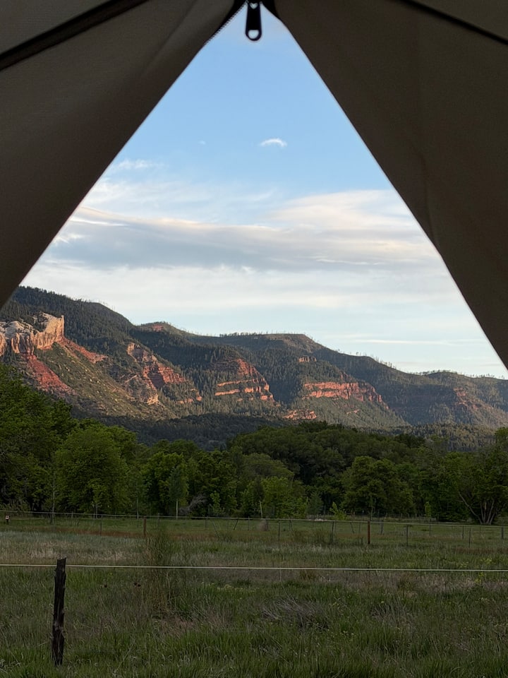 Luxury Safari Tent On 13 Private Acres - Durango, CO