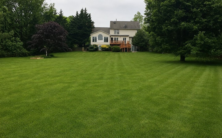 Peace & Greenery - Gaithersburg, MD