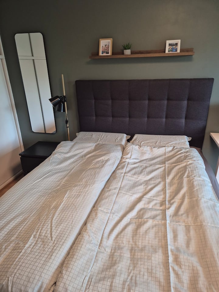 Cozy Apartment Centrally Located - Reikiavik