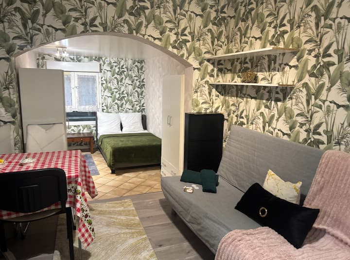 Studio Jardin 2 Lits Et Canapé Lit Proche Paris - Choisy-le-Roi