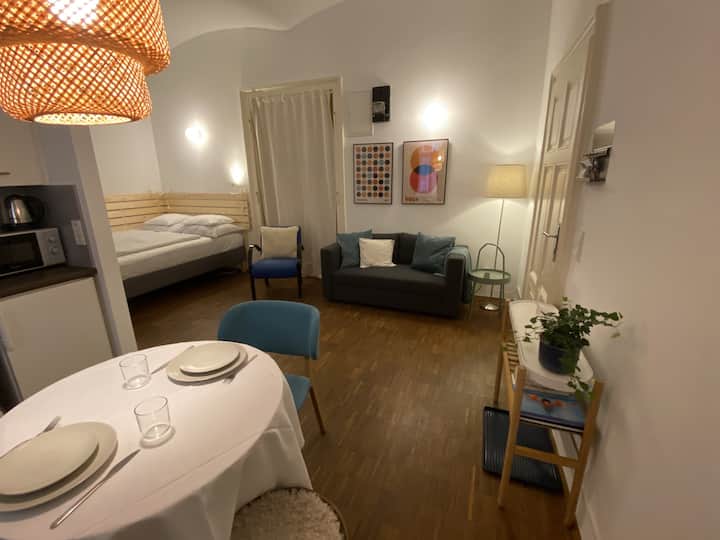 Viennaflat Mini: Centrally Located Studio - Vienna