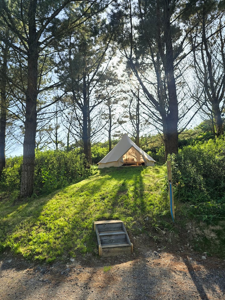 The Pine View - Newquay
