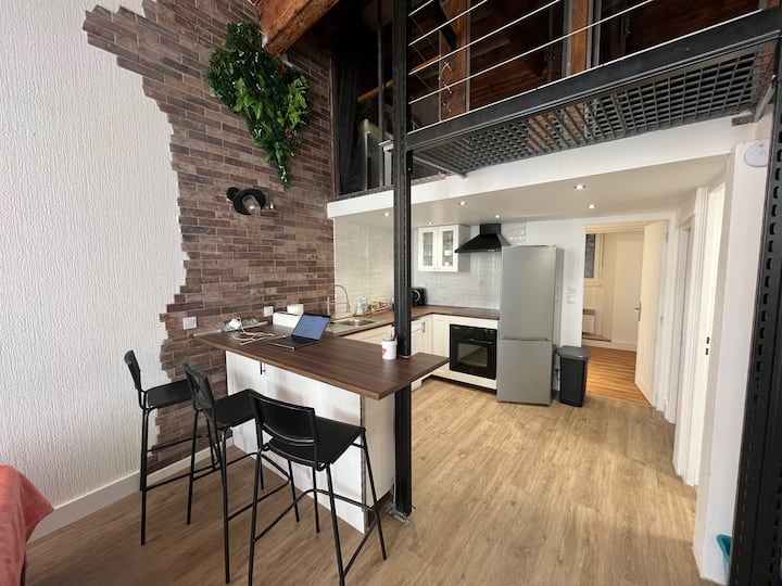Loft De Caractère En Hyper Centre - Chambéry