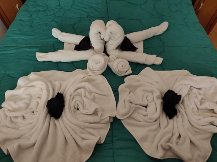 Intero Appartamento 3 Camere - Alleghe