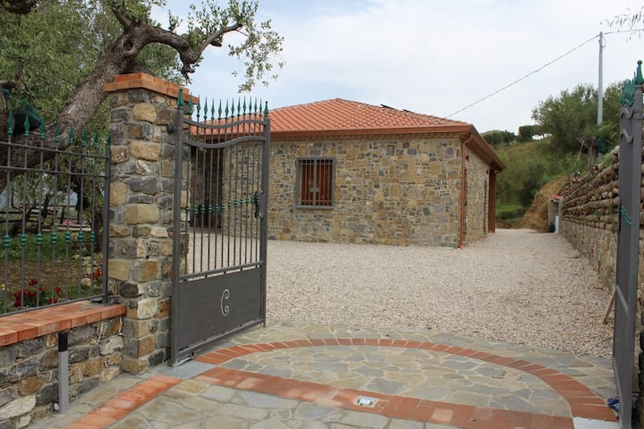 Agriturismo Il Vecchio Carrubo - Ascea