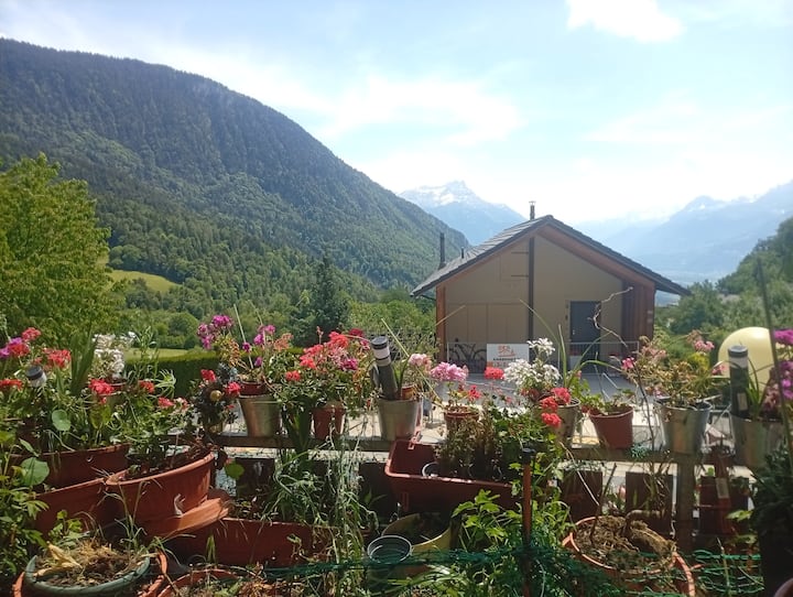 Apt 3 Ps, 30 Juin Au 25 Juillet - Leysin
