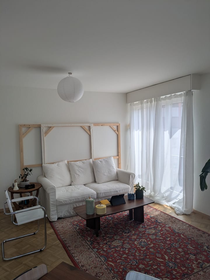 Appartement Lumineux Et Spacieux à Carouge - Saint-Julien-en-Genevois
