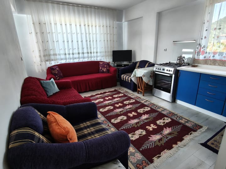 Erdek Turanköyde Müstakil Günlük-haftalık Kiralık - Erdek